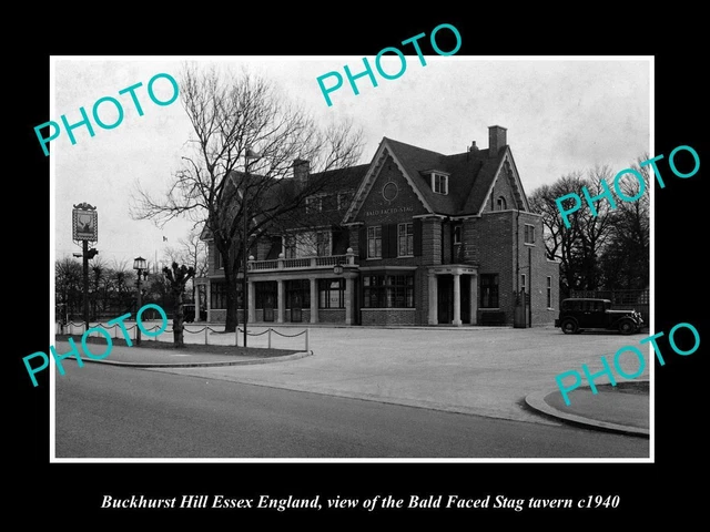 OLD POSTCARD SIZE Photo Buckhurst Hill Essex England Bald Faced Stag ...