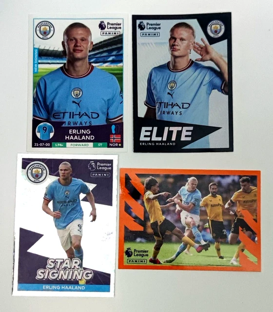 ERLING HAALAND PANIN PREMIER LEAGUE Stickers 2023 Set #346 #325 #424 ...