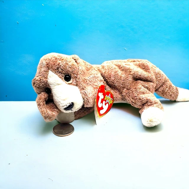 TY BEANIE BABY Sniffer Beagle 2000 avec étiquettes jouet en peluche ...