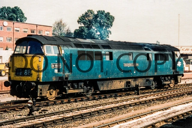 UK DIESEL TRAIN Railway Photograph Of Class 52 Western D1027. Rm52-86 £ ...