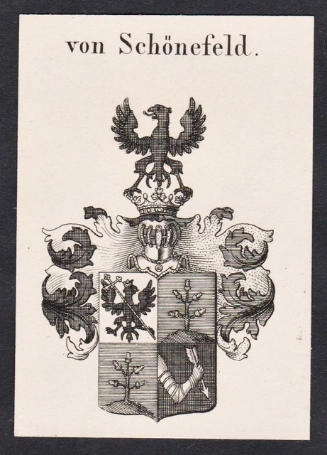 SCHÖNEFELD WAPPEN COAT of arms Heraldik heraldry Genealogie Kupferstich ...