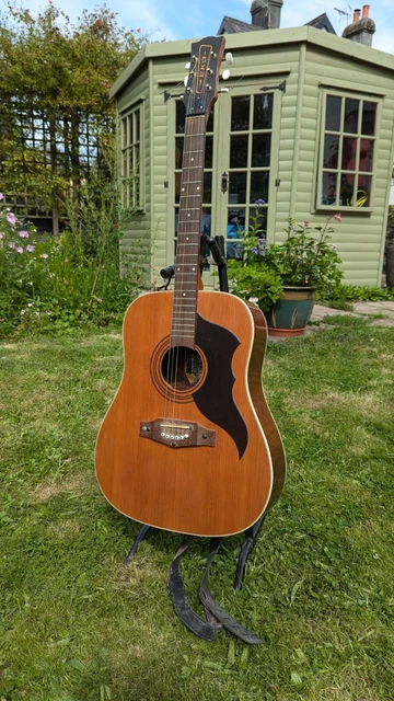 EKO RANGER 6 acoustic guitar (made in Italy) Vintage Gold Label £200.00 ...