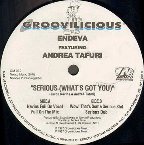 ENDEVA - SERIOUS (What's Got Vyou ), Feat. Andrea TAFURI - Paroles de Caca EUR 23,54 - PicClick FR