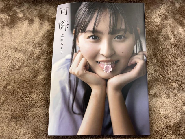 NOGIZAKA46 ENDO SAKURA 1St Photobook Karen £23.14 - PicClick UK