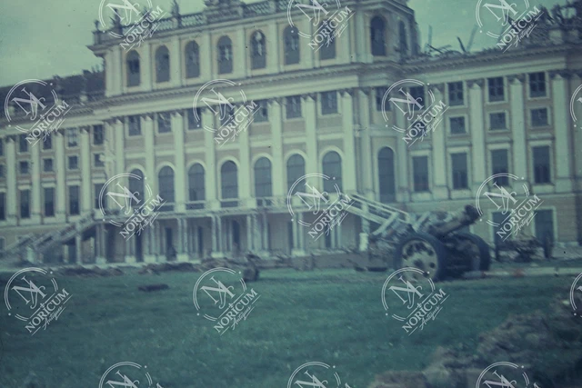FARBDIA SLIDE WIEN Schloss Schönbrunn Zerstörungen WH Feldhaubitze Mai ...