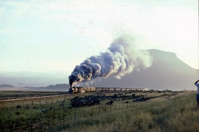 SOUTH AFRICAN RAILWAYS: Train on Stormberg - Rosmead line. Jorgensen ...