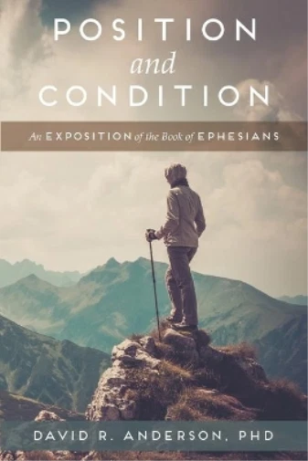 DAVID R ANDERSON Position and Condition (Poche) EUR 42,74 - PicClick FR