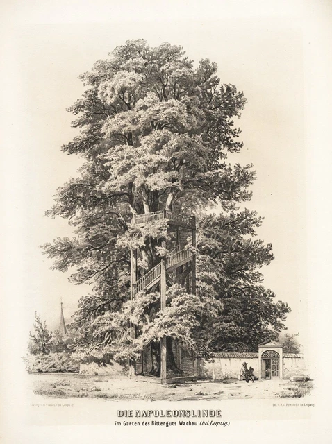NAPOLEONSLINDE RITTERGUT WACHAU Leipzig Saxony Lithography Poenicke ...