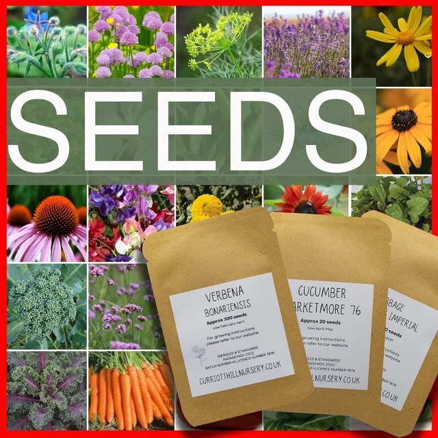 🇬🇧 VEGETABLE, HERB & Flower seeds; select from our drop-down menu £1.99 ...