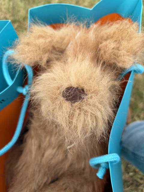 JELLYCAT RESCUE SCRUFFLES Dog Brand New Goodwoof Dog Hotel 2026 and PIN ...
