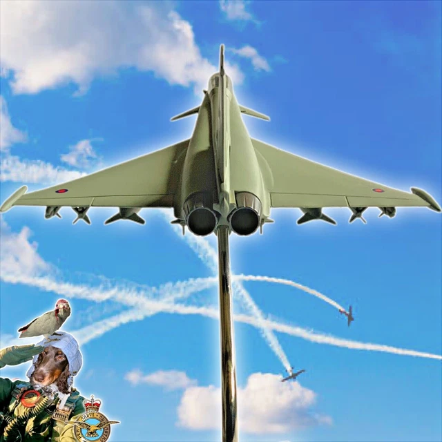 RARO RAF EUROFIGHTER Typhoon 1:48 (made in Lupa) Modello da collezione ...