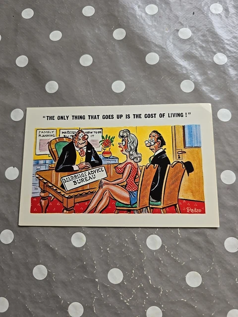 VINTAGE SAUCY SEASIDE Comic Postcard Sunny Pedro Series No 178 By Pedro ...