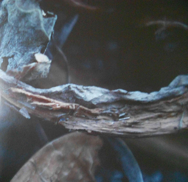 MONOLOC & JONAS Landwehr - Styx (12") EUR 32,32 - PicClick DE