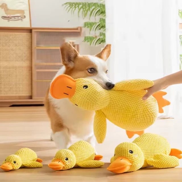 DOG SLEEPING WITH a Dog Hug Duck Toys to Relieve Boredom of Little ...