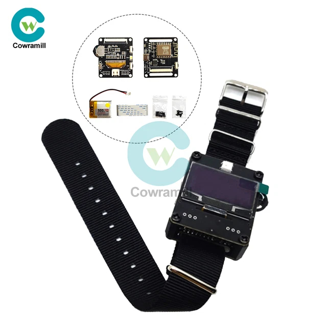 Esp8266 Watch Programmable Esp Wifi Esp 12f Oled Display Development