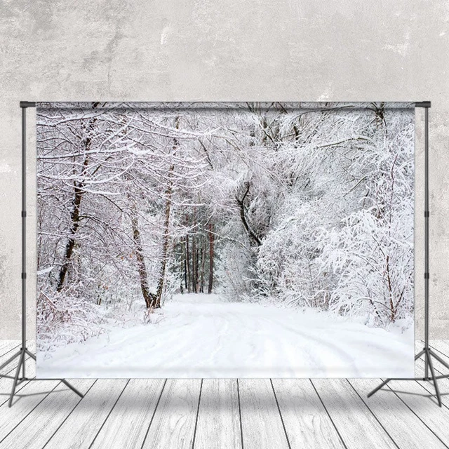 LOFARIS COLD WINTER Snowy Trees Shrubs Path Photo Backdrop $37.79 ...