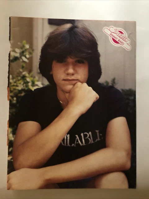 VINTAGE 70’S PINUP Jimmy Baio + Peter Barton Teen Mag Pin-Up 1 Page 70s 80’s £9.50 - PicClick UK