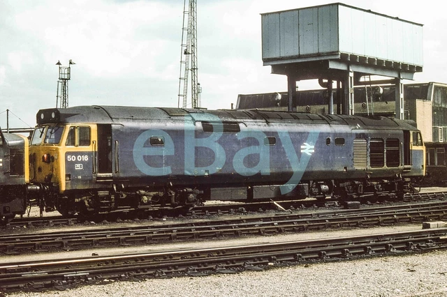 UK DIESEL TRAIN Railway Photograph Of Class 50 50016. Rm50-105 £1.70 ...