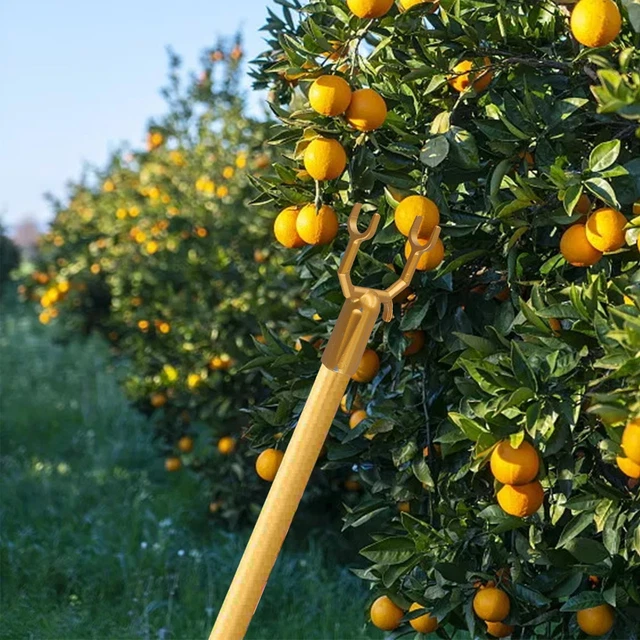 SPECIFICATIONS CONSTRUCTION LEANING Heavy Fruit Branch Support Heavy ...