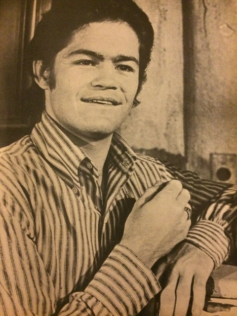 MICKY DOLENZ, THE Monkees, Full Page Vintage Pinup $1.99 - PicClick