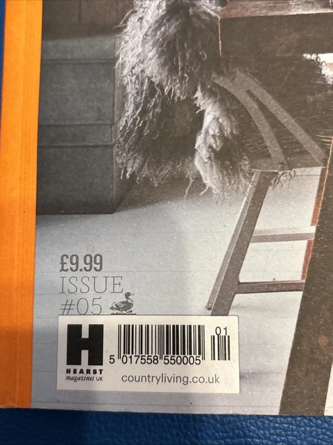 COUNTRY LIVING MODERN Rustic Magazine Issue 5. Design Interiors ...