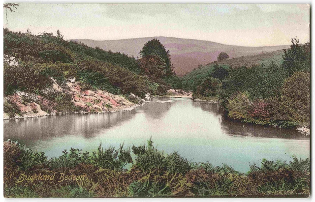 BUCKLAND BEACON DARTMOOR Devon - Pre WWI Friths Colour Postcard W04 £3. ...