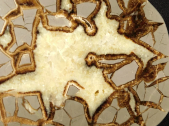 BIG! POLISHED FLUORESCENT SEPTARIAN Nodule Slab with Stand From Utah ...