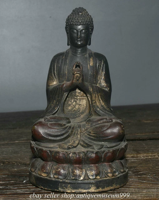 STATUA DEL BUDDHA Shakyamuni Amitabha antico Tibet tibetano 8,8" antico bronzo buddismo tibetano ...