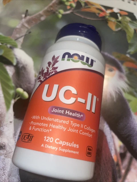 UC-II TYPE II Collagen Supplement 120 Capsules - Now Foods - Exp - 04/ ...