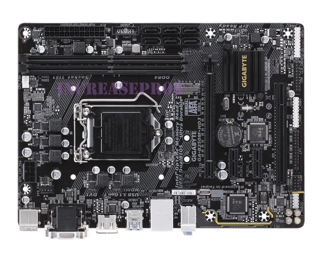 GIGABYTE GA-B250M-HD3 MOTHERBOARD Socket LGA 1151 Intel B250 DDR4 DIMM ...