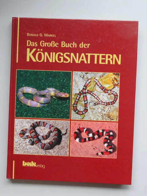 DAS GROSSE BUCH der Königsnattern Bede Verlag Ronald G.Markel Schlangen ...