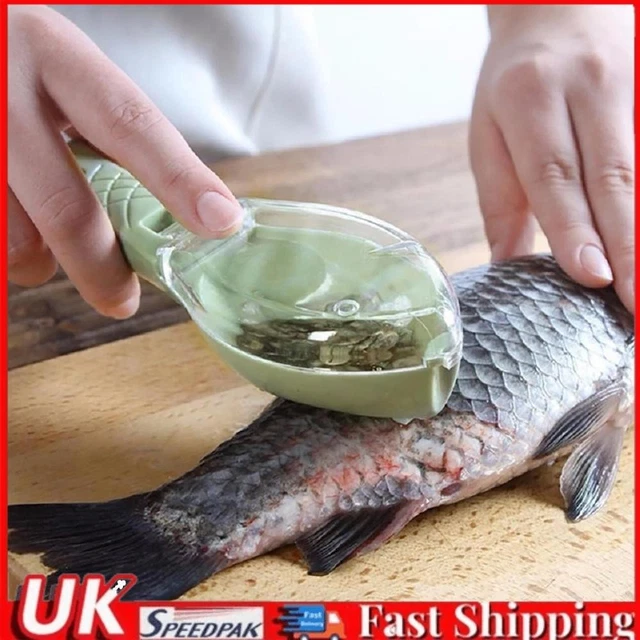 FISH SCALE SCRAPER with Hanging Hole Quick Removal Fish Scale Tool ...