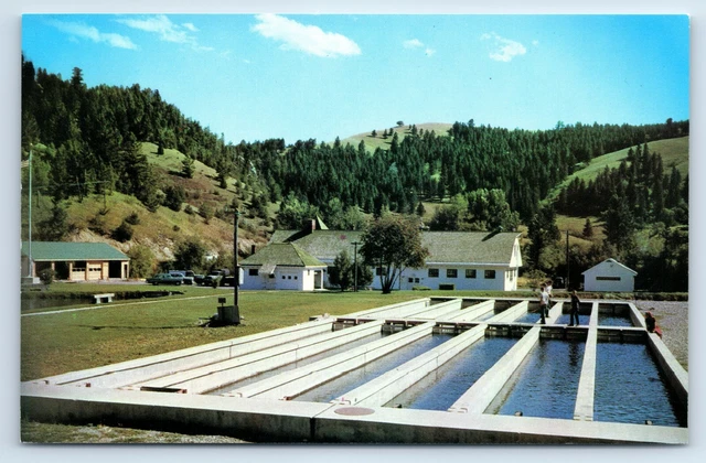 REARING PONDS AT Fish Hatchery near Bozeman Montana Postcard £5.12 ...