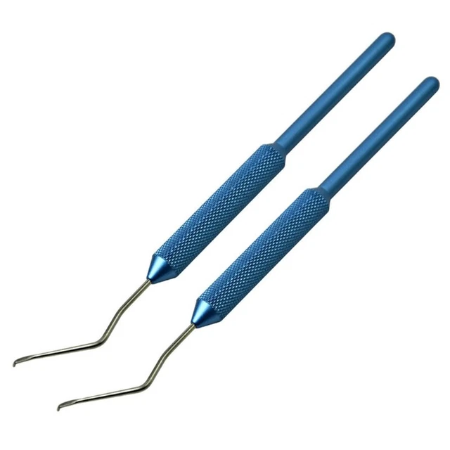 TRANSFER NEEDLE BEES Worms Moving Needle Larvae Grafting Tool Worms ...