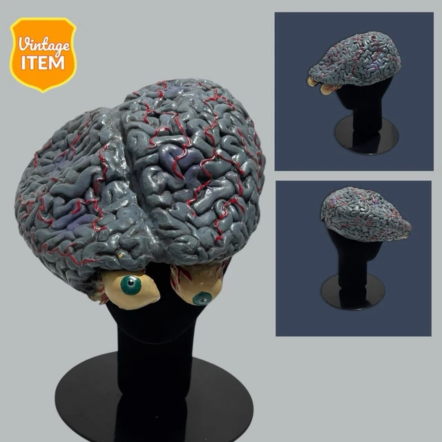 VINTAGE 2000 DISGUISE Inc. Brain Eyes Halloween Hat Cap Costume Rubber ...