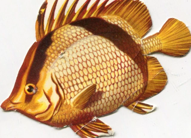 LOT DE 4 poissons en papier avec au dos Pub PARE Toulouse Biscottes ...
