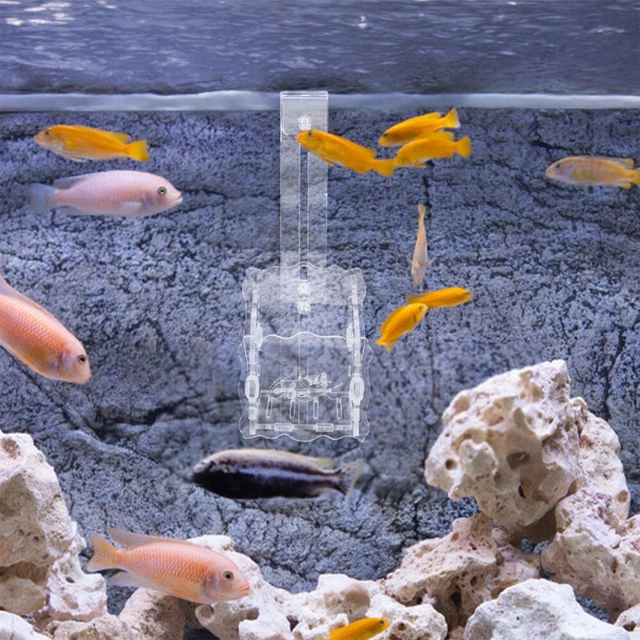 ADCOURE DE POISSON suspendu au support d'eau aquatique EUR 8,62 ...