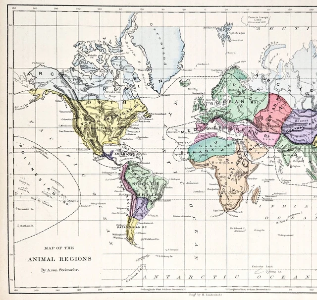 WORLD MAP 1873 Original Animal Regions WARREN ATLAS A. Von Steinwehr £ ...