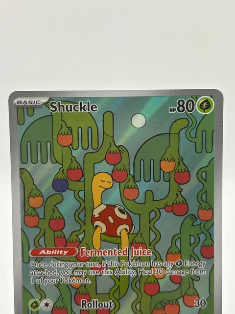 POKEMON TCG MEGA Evolution - Shuckle 136/132 Illustration Rare Nm $20.00 - PicClick AU