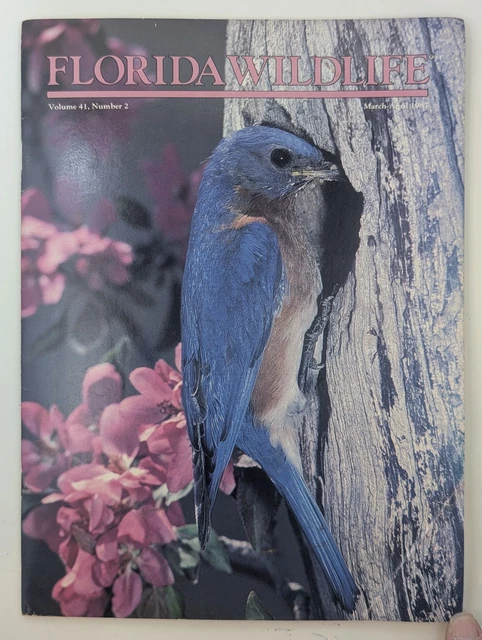 FLORIDA WILDLIFE MAGAZINE March-April 1987 Vol 41 No 2 Vintage Nature ...
