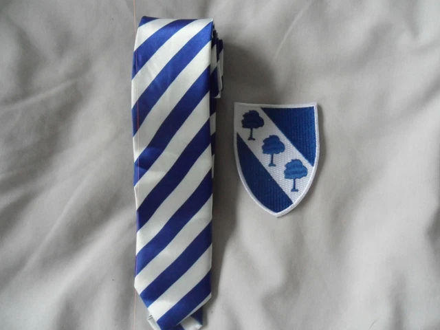 NEW INBETWEENERS BLAZER Iron on badge / patch and tie.Fancy dress ...