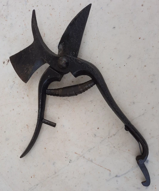 GRAND ET RARE sécateur à huppe de vigneron du XIX è EUR 45,00 - PicClick FR