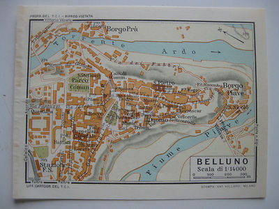 STAMPA ANTICA MAPPA CARTA TOPOGRAFICA STRADARIO VENETO BELLUNO 1920 EUR ...