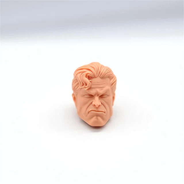 1-12-1-10-1-18-scale-the-eradicator-head-sculpt-unpainted-fit-6-ml-shf