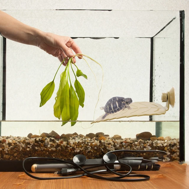 BASKING PLATFORM AQUATIC Turtles Tank Floating Dock Fish Decor Reptile ...