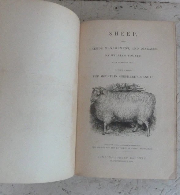 ANTIQUE BOOK C1837 SHEEP Breeds Management Diseases YOUATT H/B Illustra ...