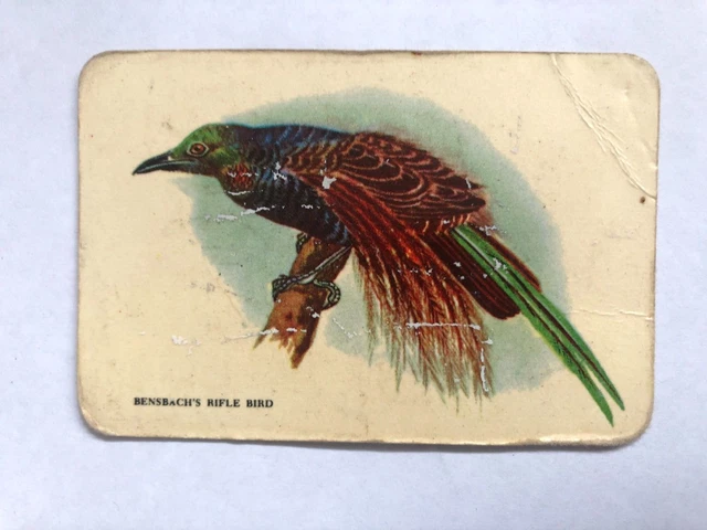 VINTAGE OLD RETRO Rare Woolworths Swap Card: Bensbach Rifle Bird Fancy ...