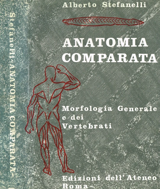 ANATOMIA COMPARATA. MORFOLOGIA generale e dei vertebrati. Alberto ...