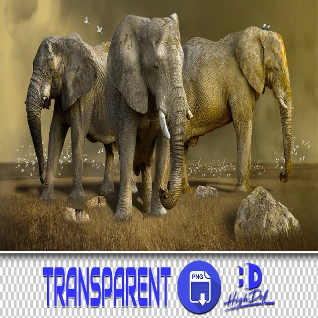 60 SUPERPOSITIONS TRANSPARENTES Éléphants Png Photoshop, Animaux Isolés ...