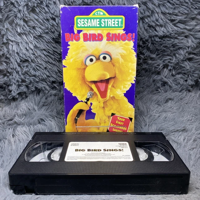 SESAME STREET: BIG Bird Sings! VHS Tape 1995 Sony Wonder Cartoon Show ...